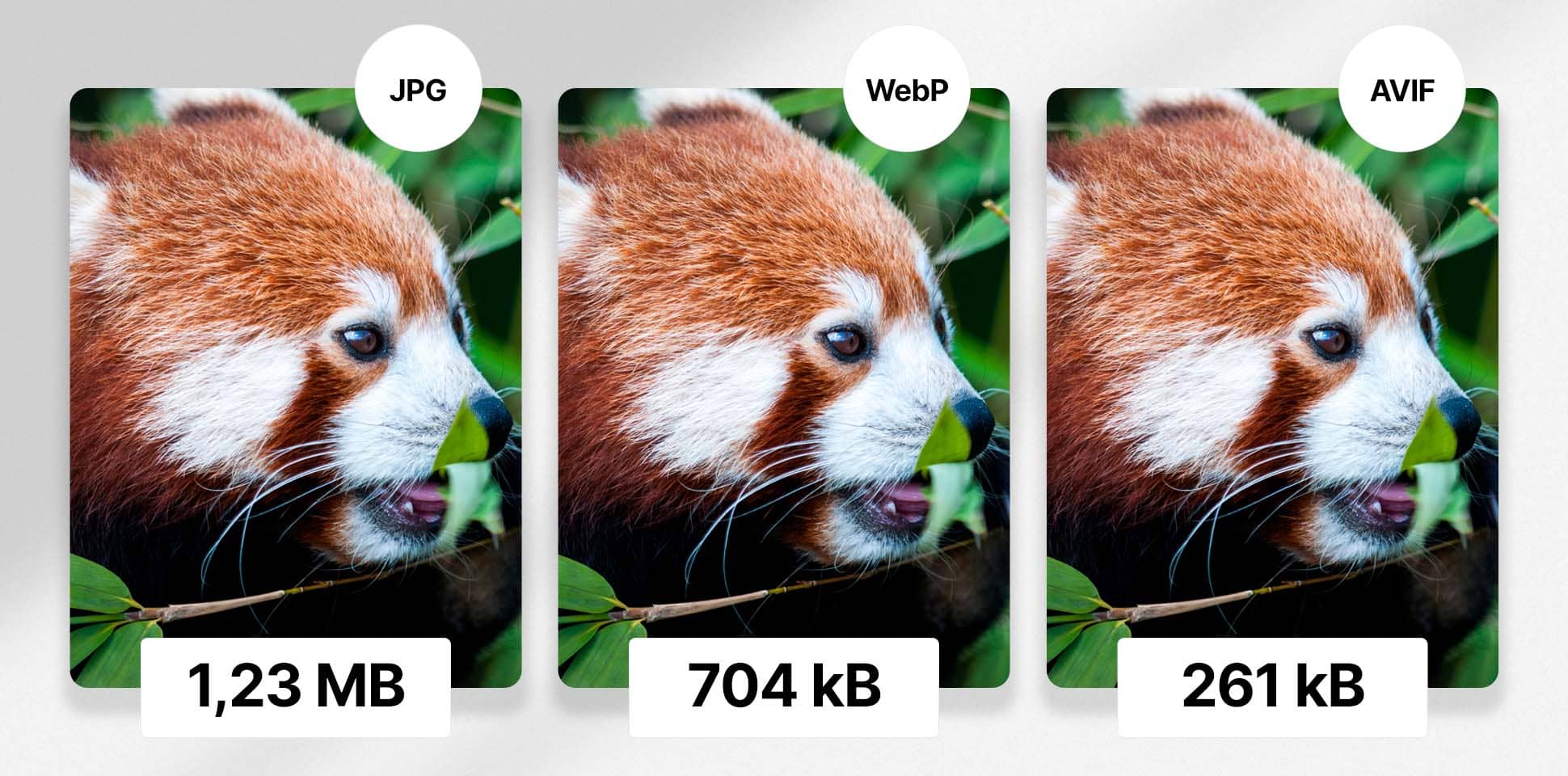 WebP y AVIF, los nuevos formatos de imagen que deberías usar en tu web ... WebP y AVIF, los nuevos formatos de imagen que deberías usar en tu web ...